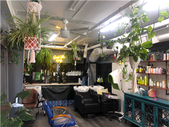 Curls by DaShell - Las Vegas NV | Vagaro